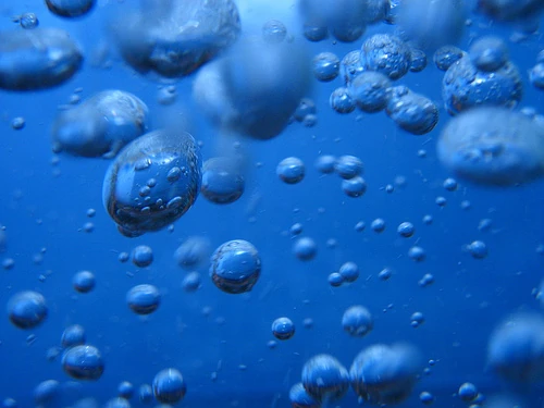 Water | Home Wiki | Fandom