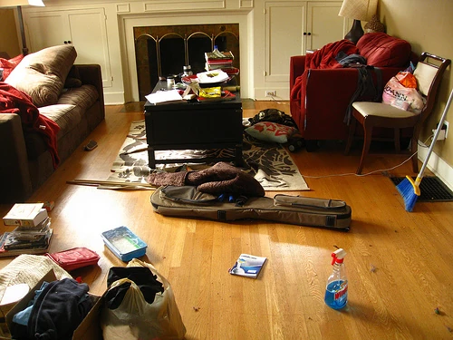 Cleaning | Home Wiki | Fandom