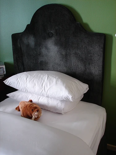 Sheet | Home Wiki | Fandom