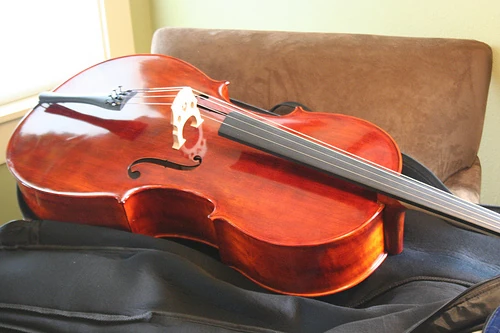 Musical instrument | Home Wiki | Fandom