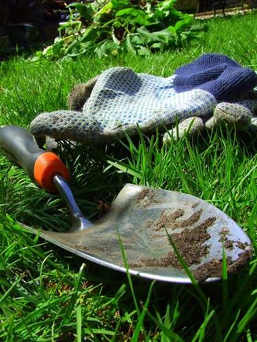 Trowel | Home Wiki | Fandom