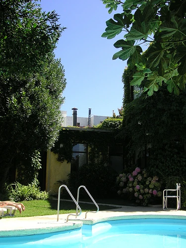 Cornstarch And Water Pool