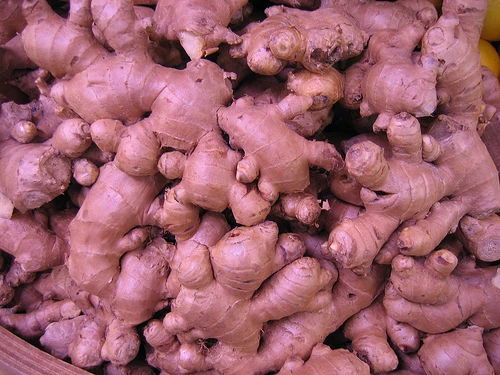 Ginger | Home Wiki | Fandom