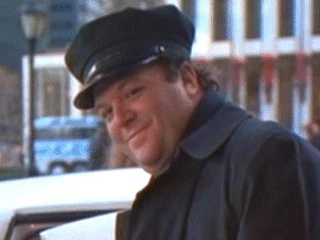 Michael Goldfinger | Home Alone Wiki | Fandom