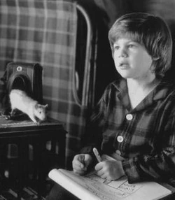 Alex Pruitt From Home Alone 3