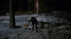 Home Alone Neighbor