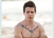 Darryl Braxton | Home and Away Wiki | Fandom