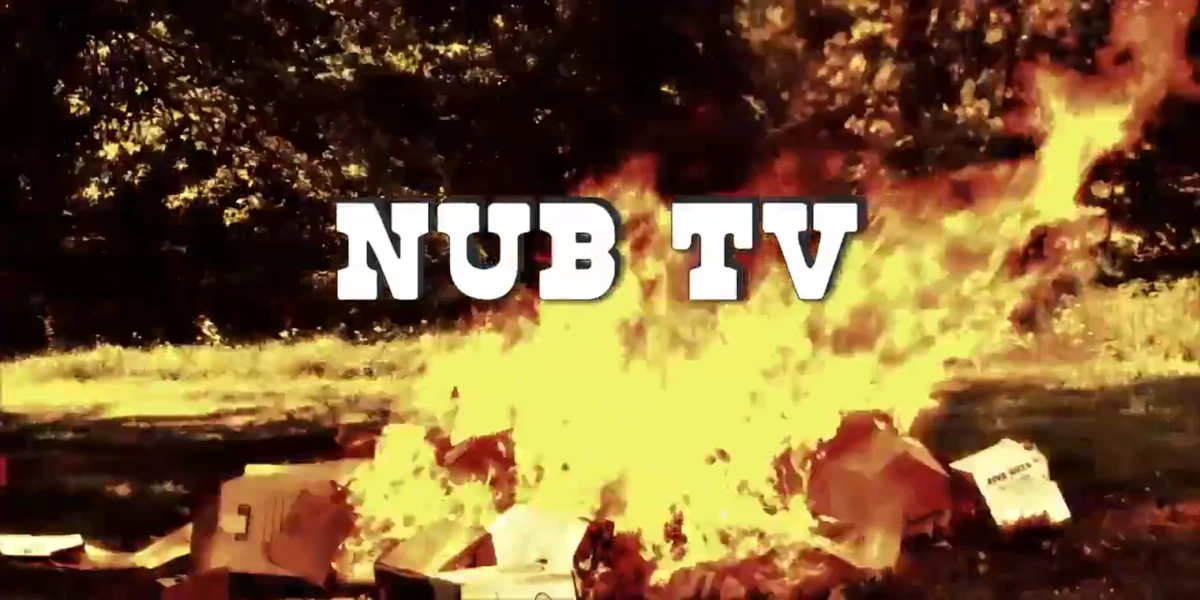 Nub TV Season 1 | Homegrown Archives Wiki | Fandom