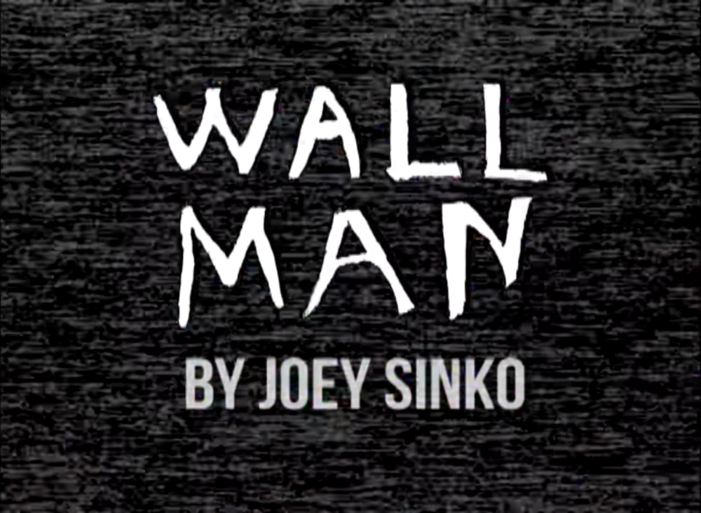 An Ode to Bam Margera: "Wall Man" | Homegrown Archives Wiki | Fandom