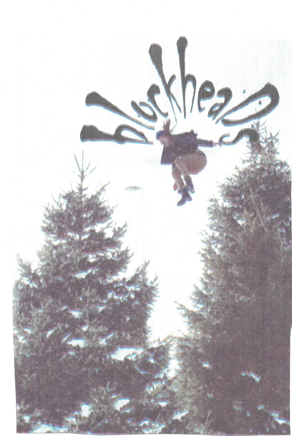 BlockheaDs The Movie | Homegrown Stunt DVD Library Wikia | Fandom