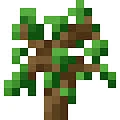 Sapling | Homemade Minecraft Wiki | Fandom