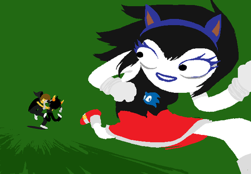 Sonic Fandom | Homestuck Roleplay Wiki | Fandom