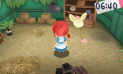 Secret Fort | Hometown Story Wiki | Fandom