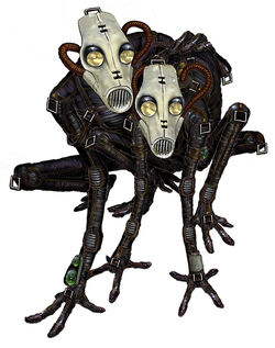 Vaygr | Encyclopedia Hiigara | Fandom