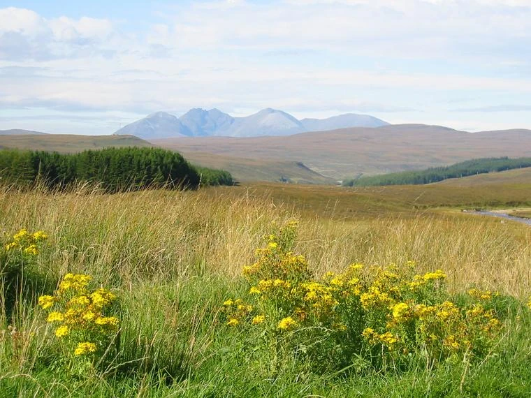 Territa | Honalee Wiki | Fandom