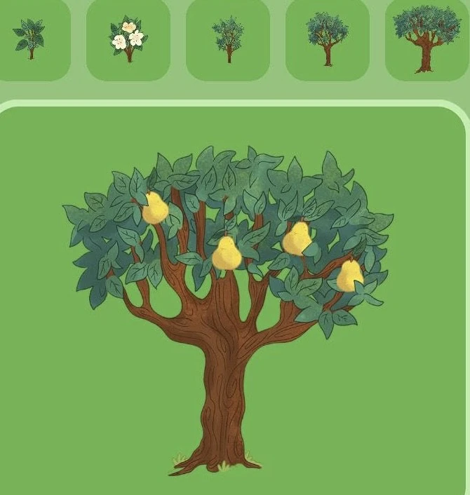 Pear Tree | Honey Grove by Runaway Wiki | Fandom