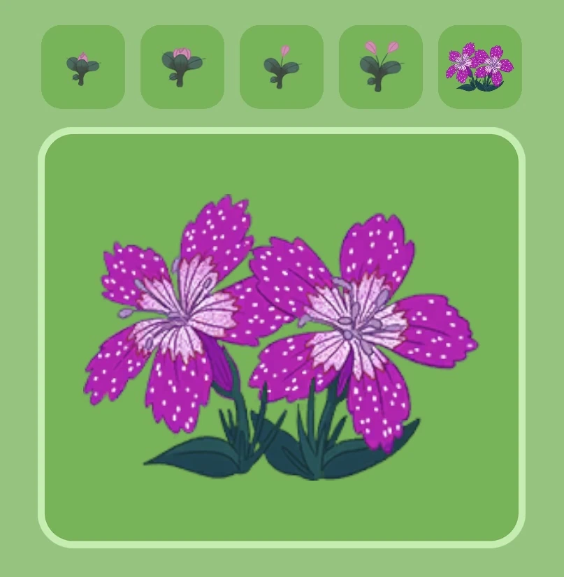 Deptford Pink | Honey Grove by Runaway Wiki | Fandom