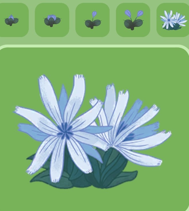Chicory Honey Grove By Runaway Wiki Fandom