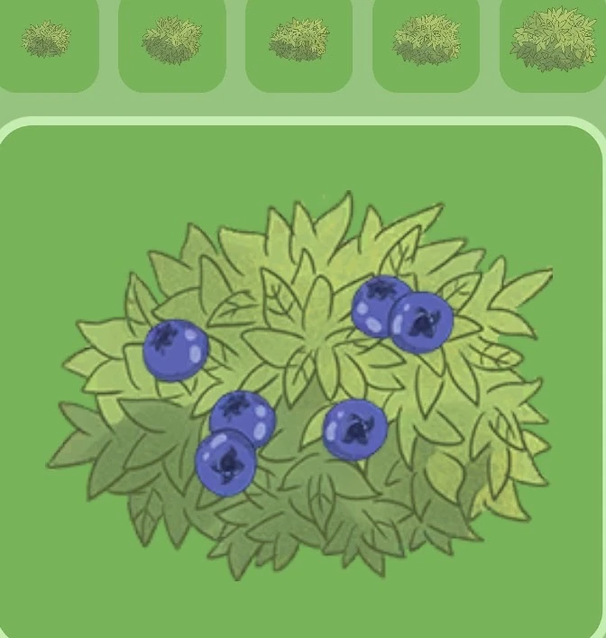 Blueberry Bush | Honey Grove by Runaway Wiki | Fandom