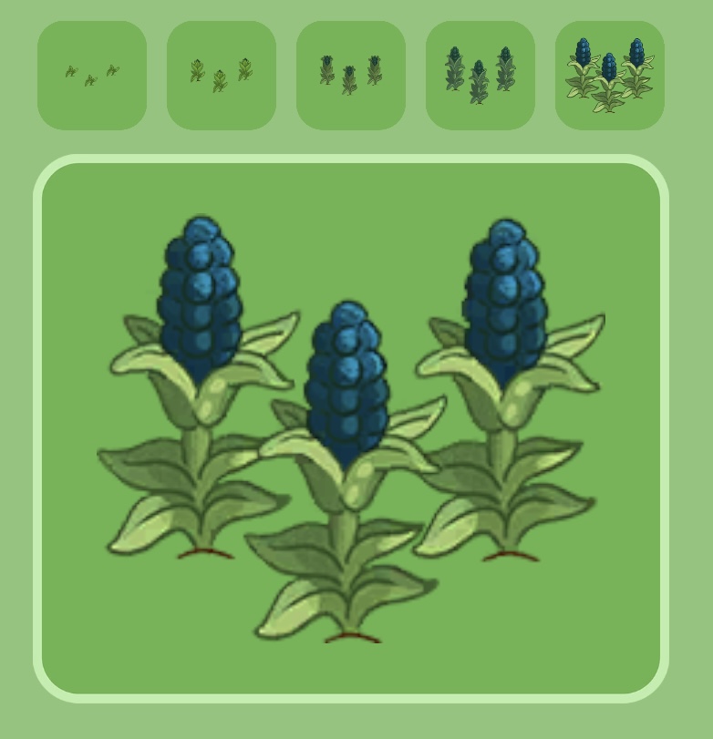 Hopi Maize Plant Honey Grove By Runaway Wiki Fandom