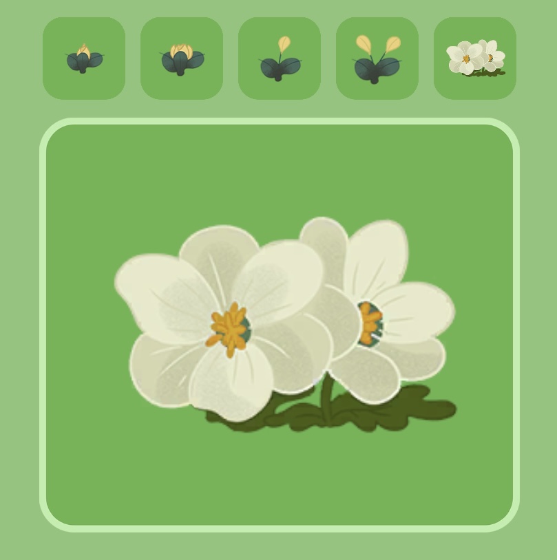 Wood Anemone Honey Grove By Runaway Wiki Fandom