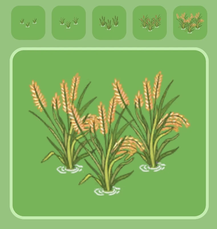 Basmati Rice Plant | Honey Grove by Runaway Wiki | Fandom