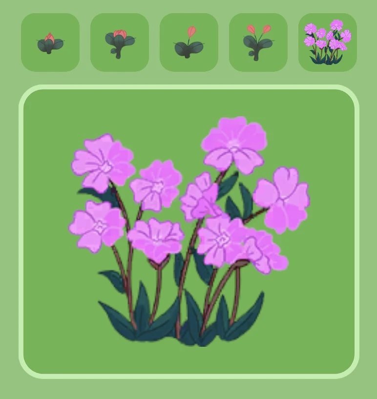 Red Campion | Honey Grove by Runaway Wiki | Fandom