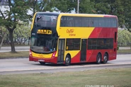 城巴E21線 | 香港巴士大典 | Fandom