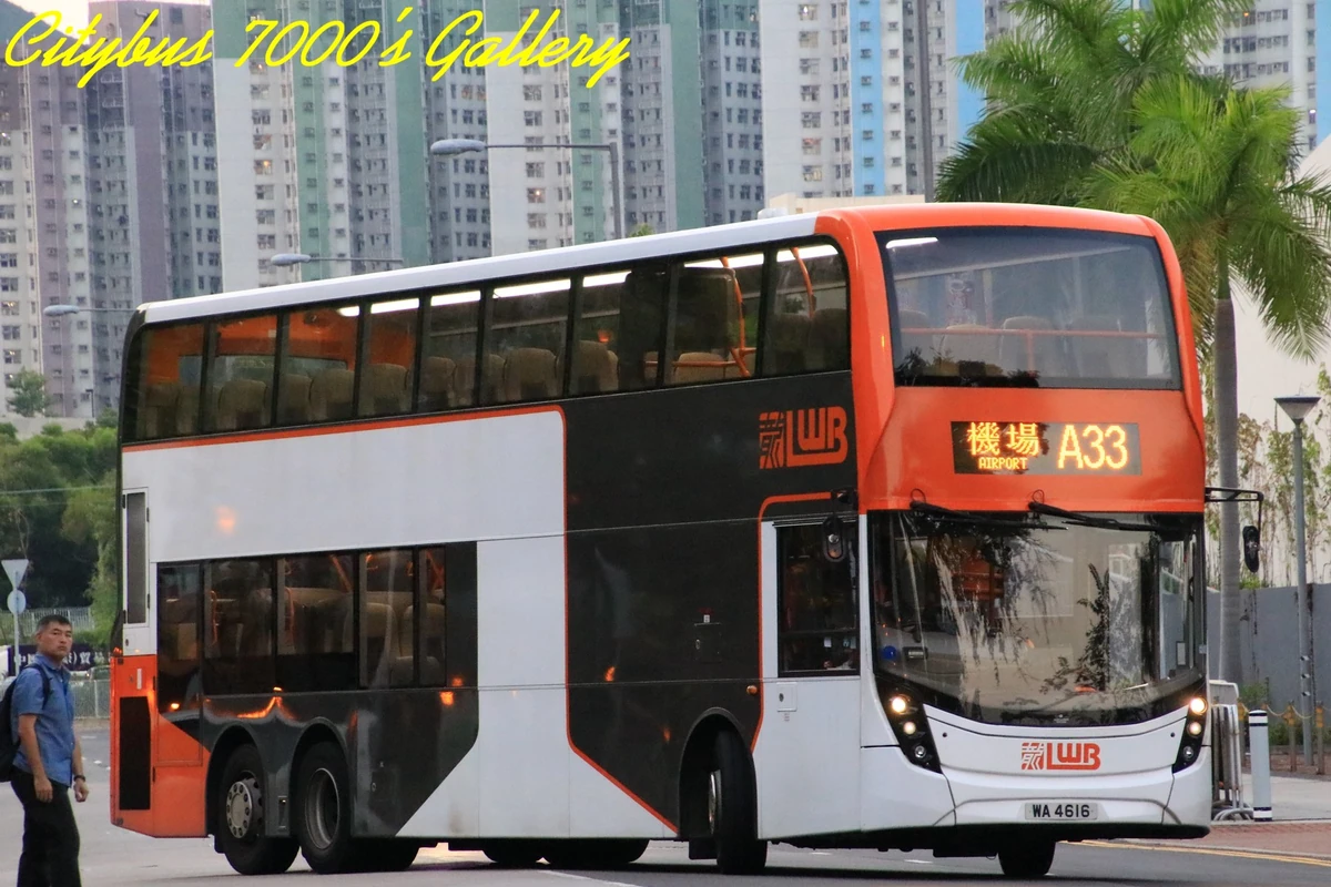 龍運巴士A33線 | 香港巴士大典 | Fandom