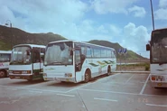 New Lantao Bus | Hong Kong Buses Wiki | Fandom
