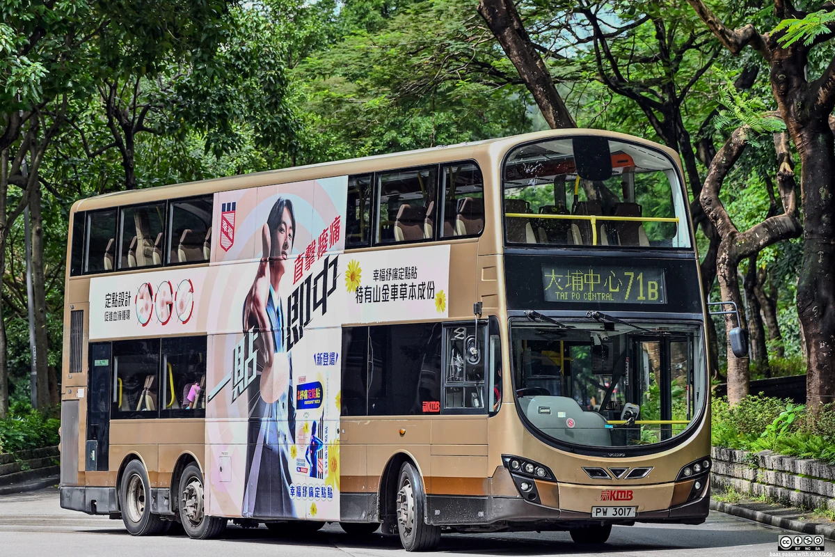 九巴71B線 | 香港巴士大典 | Fandom