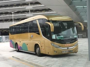 港珠澳大橋穿梭巴士 | 香港巴士大典 | Fandom