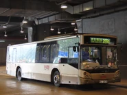 九巴289R線 | 香港巴士大典 | Fandom