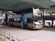 九巴268A線 | 香港巴士大典 | Fandom