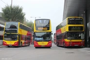 Cityflyer | Hong Kong Buses Wiki | Fandom