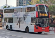 九巴49M線 | 香港巴士大典 | Fandom