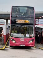 九巴268A線 | 香港巴士大典 | Fandom