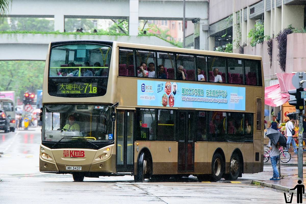 九巴71B線 | 香港巴士大典 | Fandom