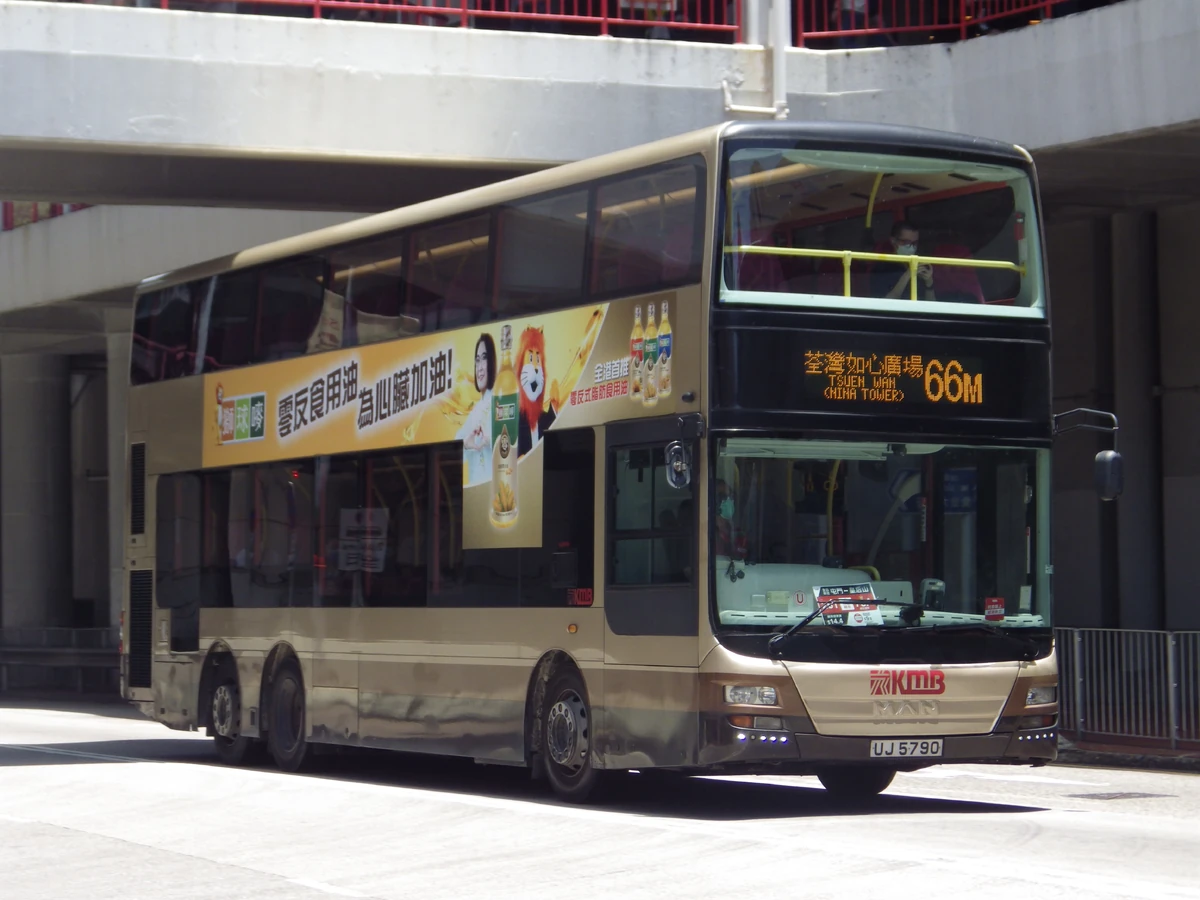 九巴66M線 | 香港巴士大典 | Fandom