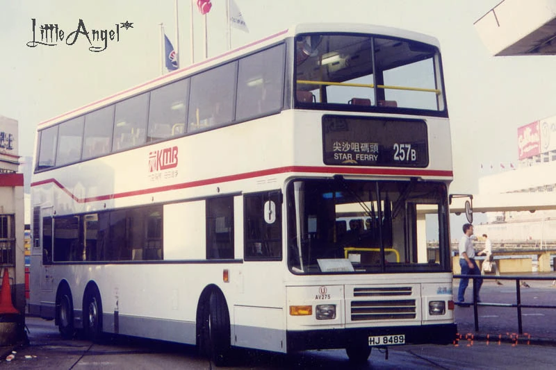九巴257B線 | 香港巴士大典 | Fandom