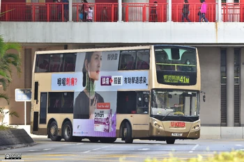 九巴41M線 | 香港巴士大典 | Fandom