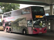 九巴268A線 | 香港巴士大典 | Fandom