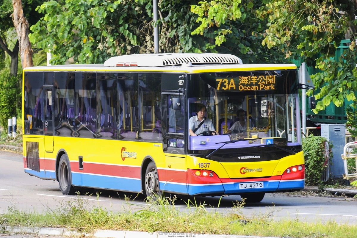 城巴73A線 | 香港巴士大典 | Fandom