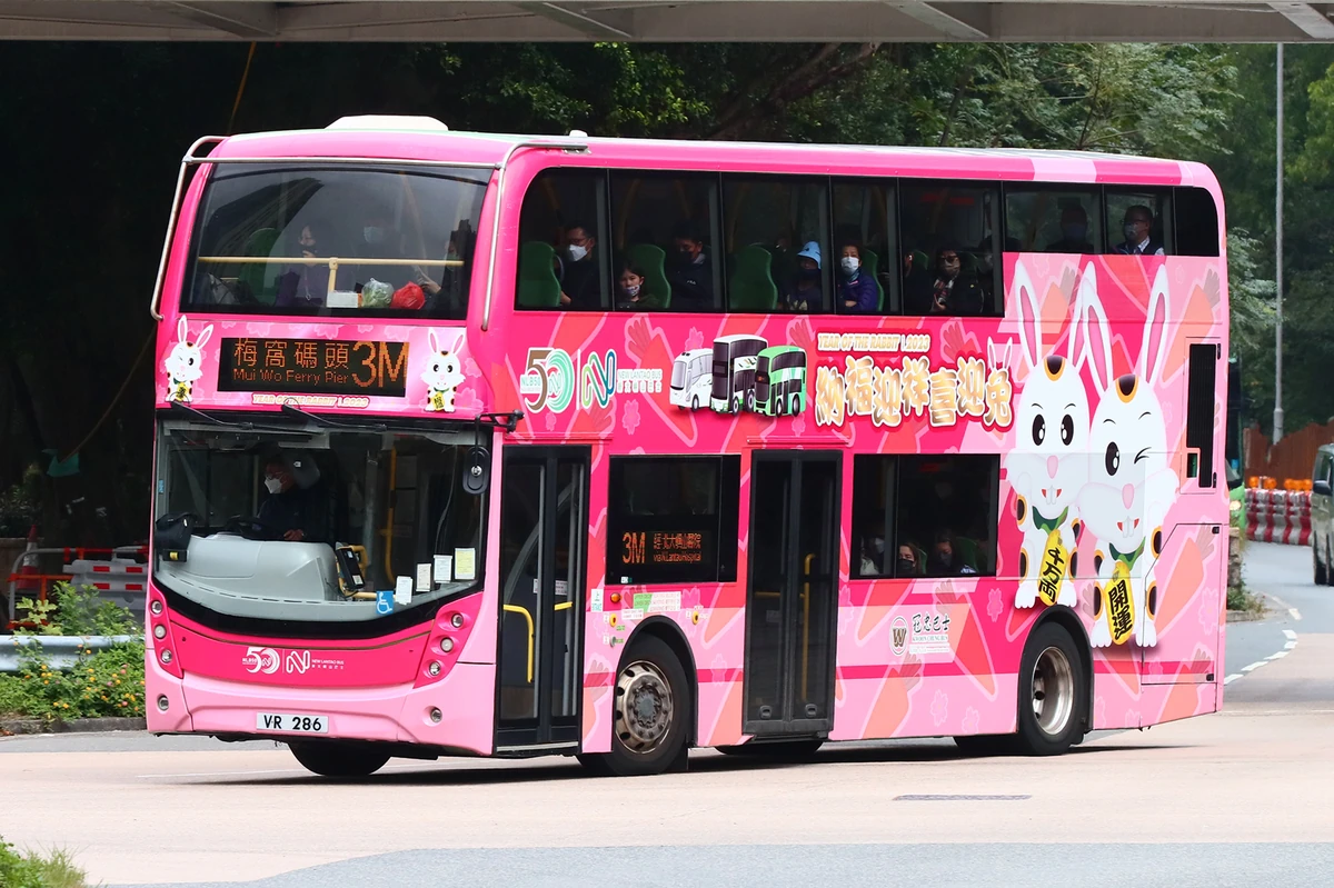 NLB Route 3M | Hong Kong Buses Wiki | Fandom