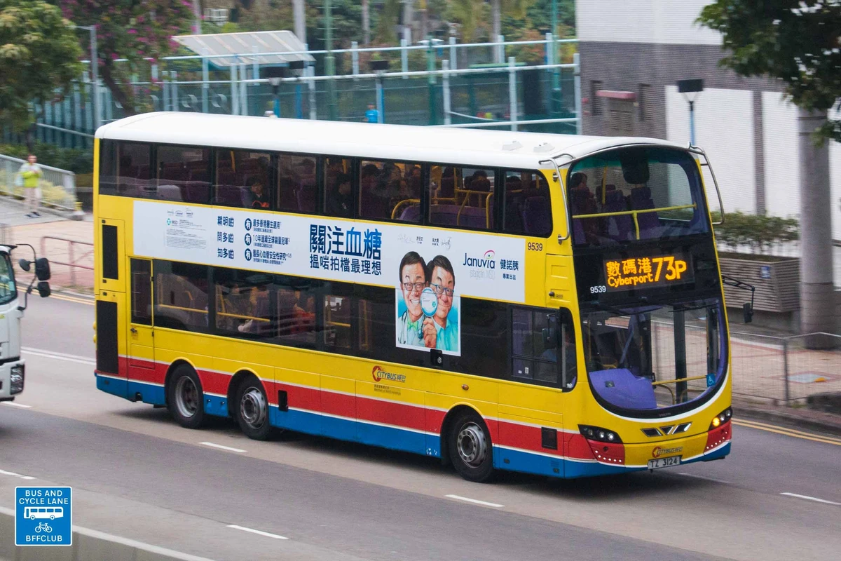 城巴73P線 | 香港巴士大典 | Fandom