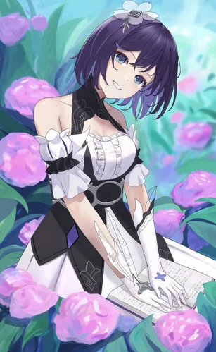 Seele Volerei (Johanverse) | Honkai Impact Fanon Wiki | Fandom