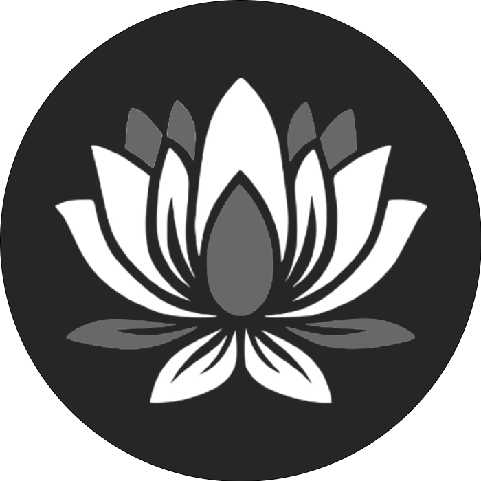 Emergence | Honkai: Star Rail Fanon Wiki | Fandom