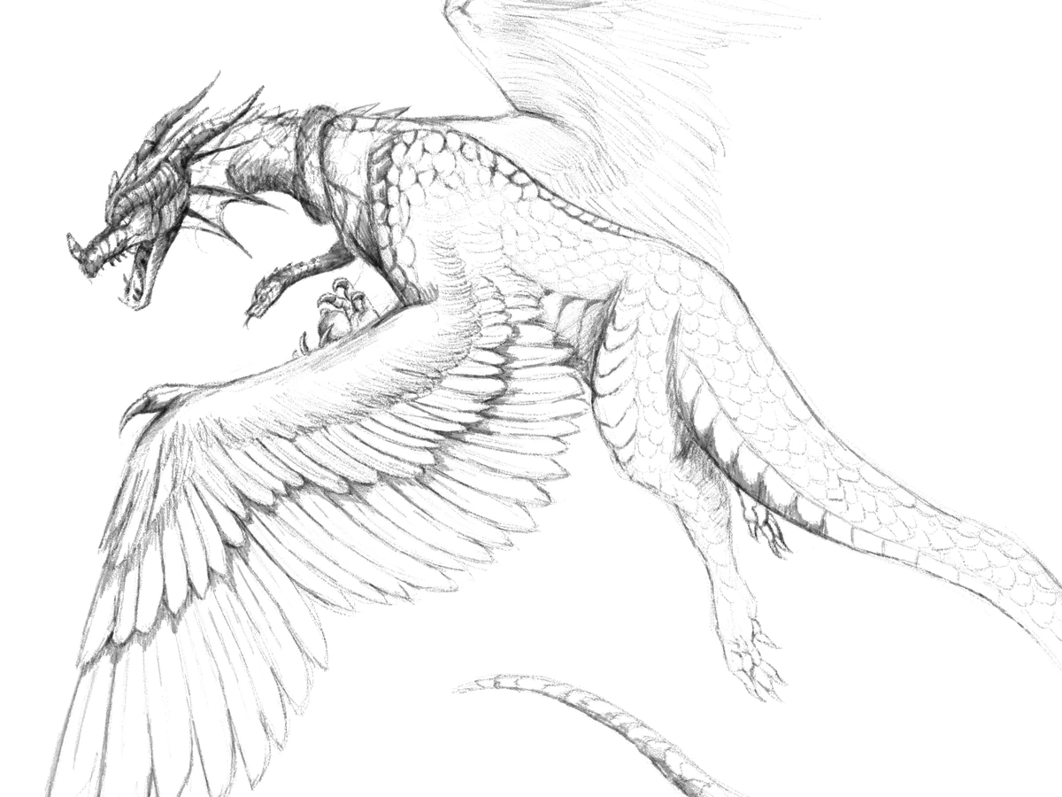 COTU | Honkai: Star Rail Fanon Wiki | Fandom