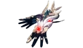 Cosmic Duality - Official Honkai Impact 3 Wiki