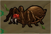 Tamed Spider | Heroes of Neverwinter Wiki | Fandom